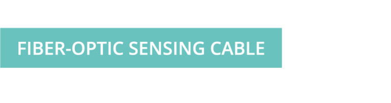 Perimeter Intrusion Detection System PIDS - SINTELA
