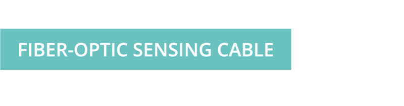 Perimeter Intrusion Detection System PIDS - SINTELA
