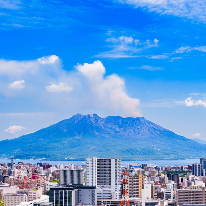 Perimeter Intrusion Detection System PIDS - SINTELA