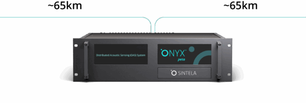 Perimeter Intrusion Detection System PIDS - SINTELA