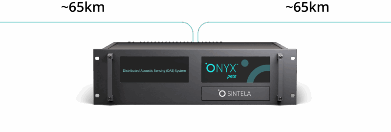 Perimeter Intrusion Detection System PIDS - SINTELA